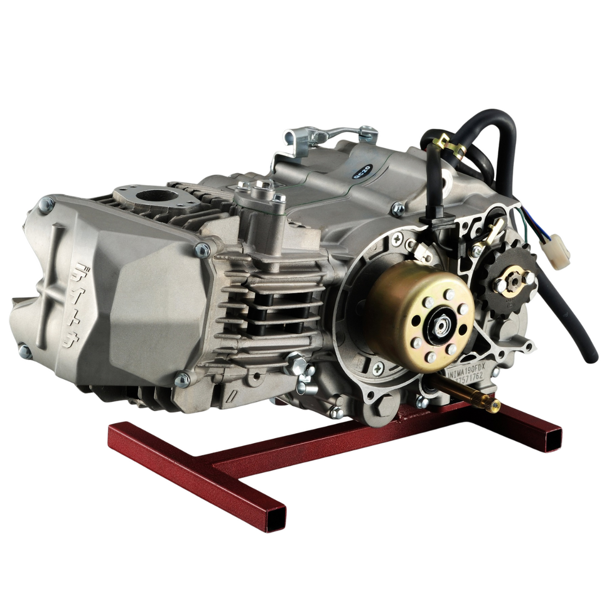 Daytona Anima 190cc Engine (FSM) l RIDERNOMICS — Ridernomics